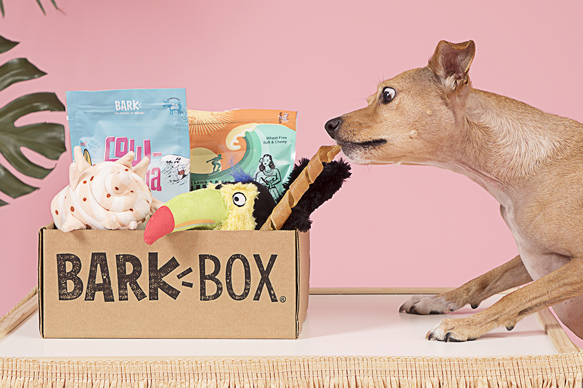 Is A BarkBox Worth It DogBlogTV Is A BarkBox Worth It DogBlogTV